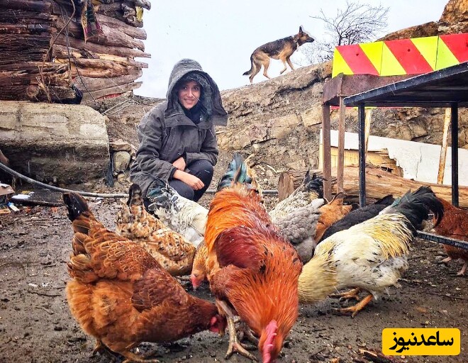 تغییر چهره جذاب اما بدون آرایش جیران که باور نمی کنید عکس پریناز
