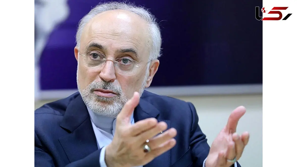 Ali Akbar Salehi: Zarif’s Nuclear Consortium Proposal Dates Back to Pre ...