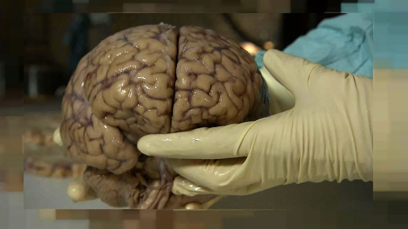 این کارها شما را باهوش می کند